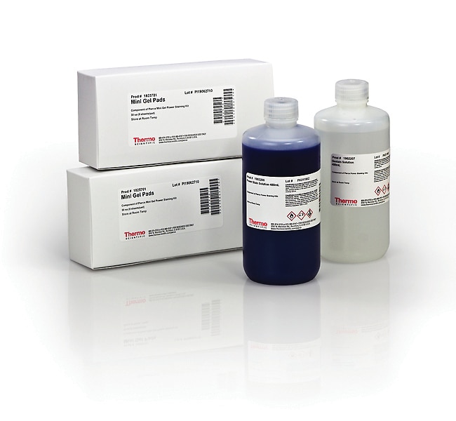Thermo Scientific™ Pierce™ Mini Gel Power Staining Kit 60-pad kit Dye ...