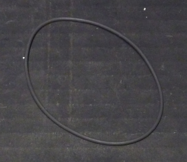 BUCKET LID O-RING | Fisher Scientific