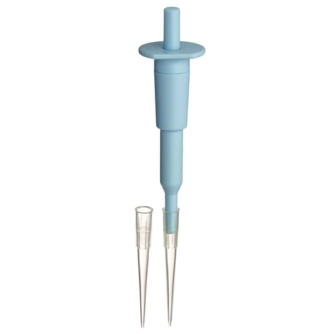 Edvotek Fixed Volume MiniPipettes:Pipette Products:Pipettes | Fisher ...