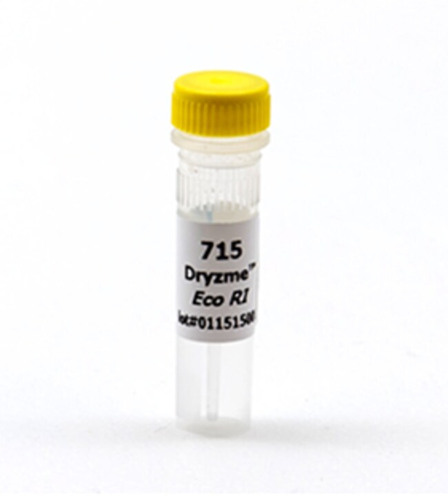 Dryzyme Restriction Enzymes:Enzymes and Inhibitors:Restriction Enzymes ...