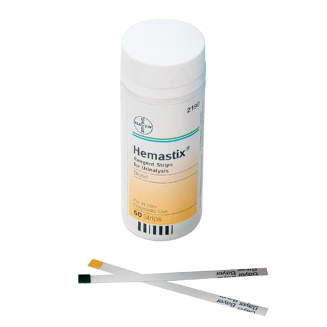 Eisco Hemastix, 50/Vial Regular | Buy Online | Eisco™ | Fisher Scientific
