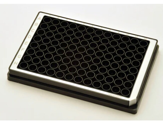 Eppendorf Microplate 96/F Microplate; Well Color: Black:Microplates ...