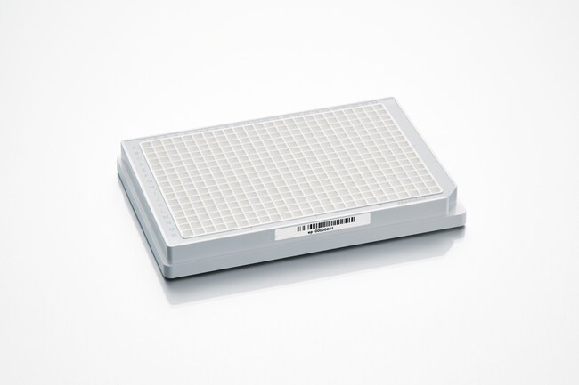 Eppendorf™ Polypropylene Barcode 384 Well Protein LoBind Microplate ...