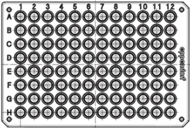 Eppendorf Eppendorf twin.tec™ PCR plate LoBind 384, skirted Products ...