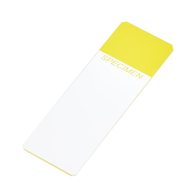 Fisherbrand ColorFrost Microscope Slides with Clipped Corners Yellow ...