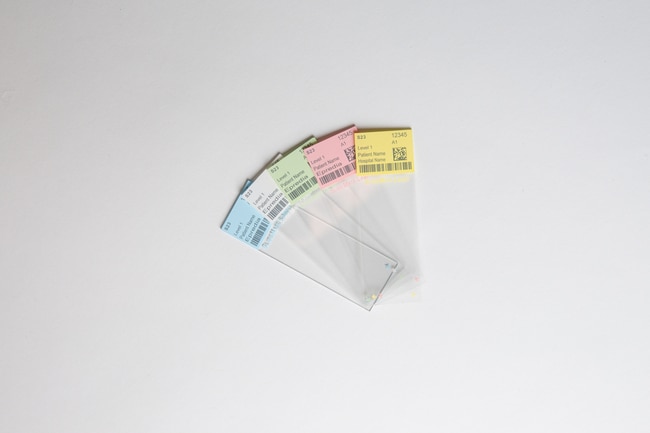 Epredia SlideMate Laser Plus Microscope Slides:Microscope Slides:Glass | Fisher Scientific