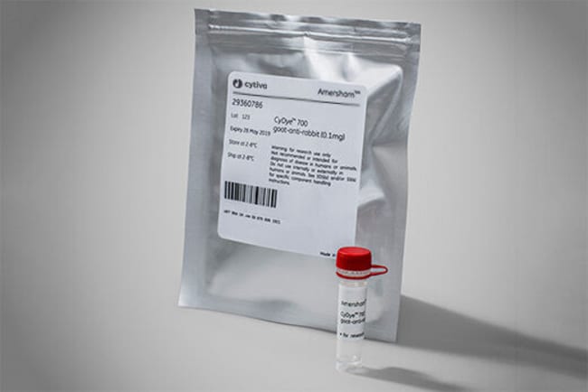 Amersham CyDye 800 Goat-Anti-Rabbit Secondary Antibody, Cytiva ...