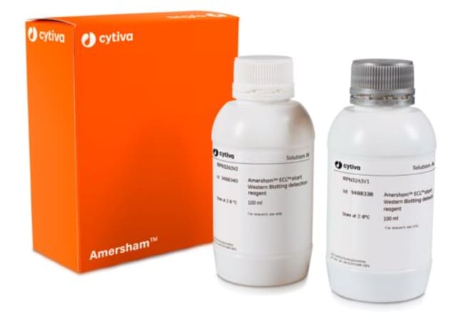 Cytiva Amersham ECL start Western Blotting Detection Reagent 400 mL ...