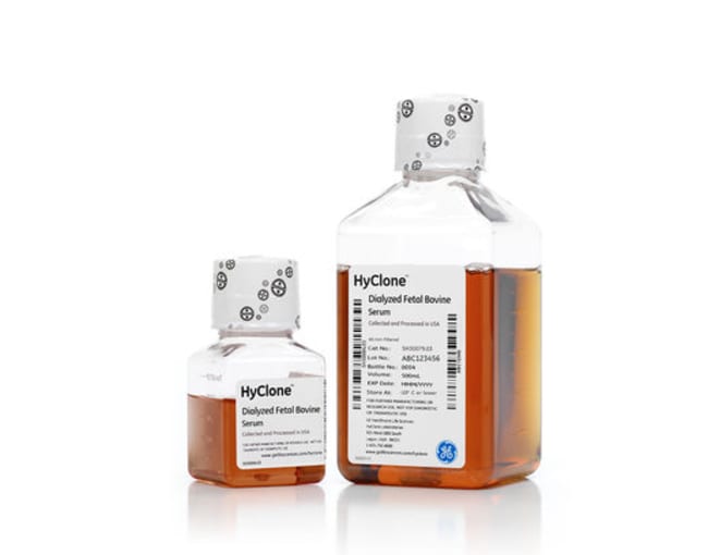 Cytiva (Formerly GE Healthcare Life Sciences) HyClone Fetal Bovine Serum | Fisher Scientific