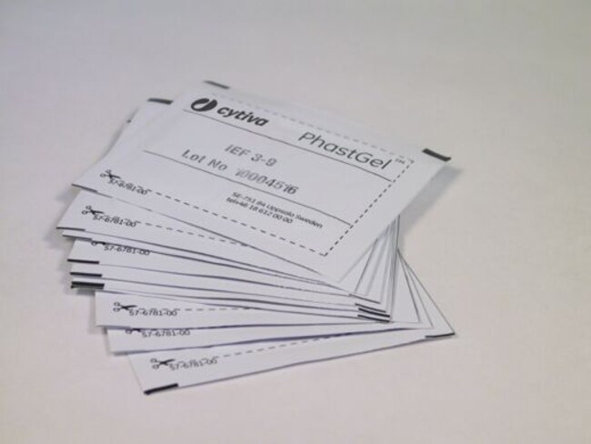 CytivaPhastGel Precast IEF Gels:Gel Electrophoresis Equipment and ...
