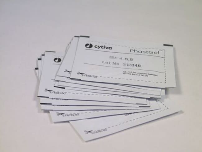 CytivaPhastGel Precast IEF Gels:Gel Electrophoresis Equipment and ...