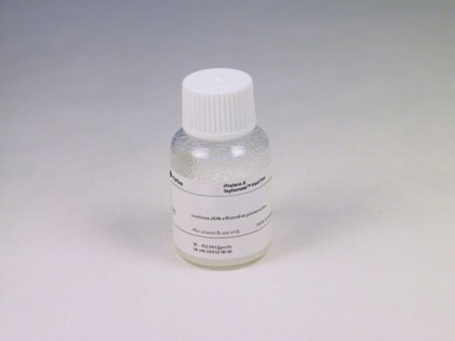 Cytiva rProtein A Sepharose Fast Flow Affinity Media:Chromatography ...