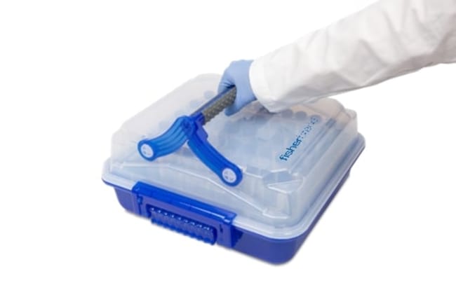 Fisherbrand™ Transport Box XL Color: Clear, Blue Produkte | Fisher ...