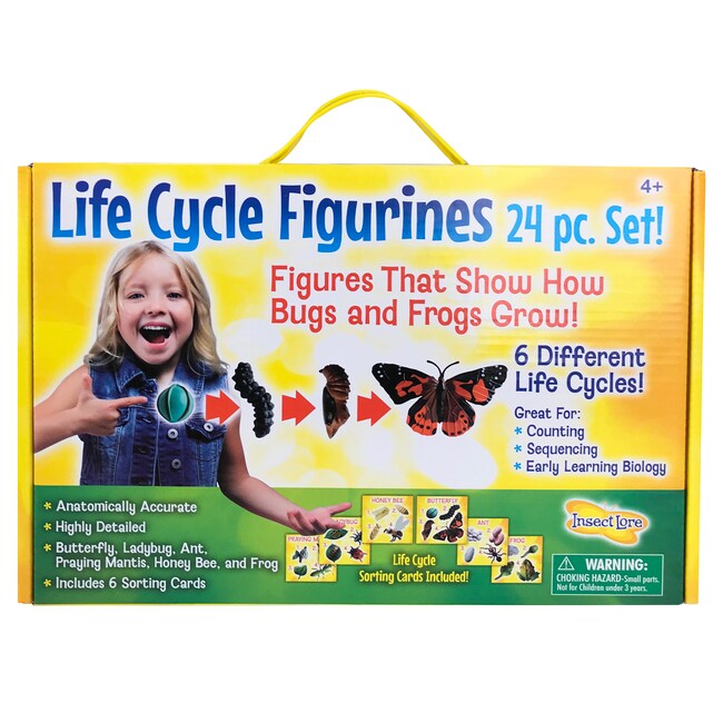 Insect Lore Life Cycle Figurines 6 life cycle stages- Butterfly ...