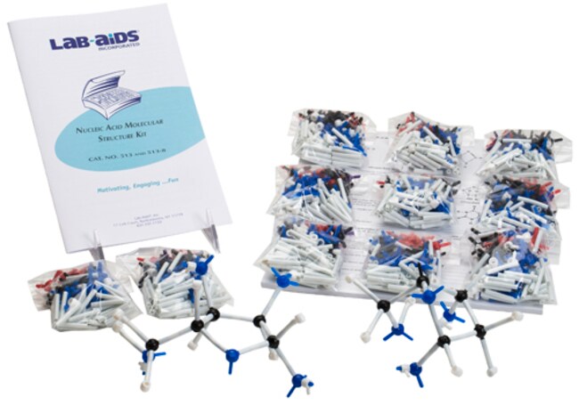 Lab-Aids Nucleic Acid Molecular Structure Kit Nucleic Acid Molecular ...