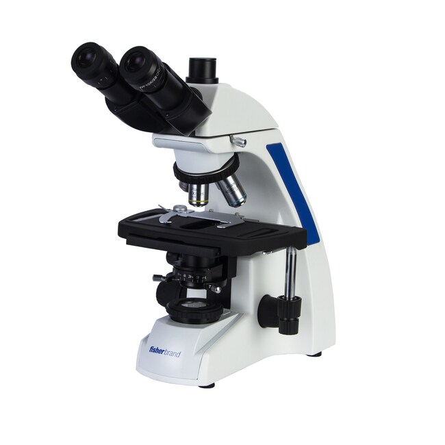 Fisherbrand Phase Contrast Research Grade Upright Microscope with ...