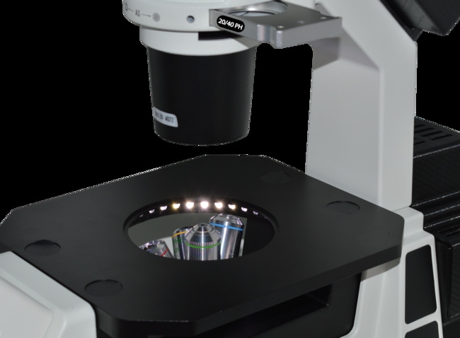 Laxco SLI6 Inverted Fluorescence Microscope:Microscopes:Compound ...
