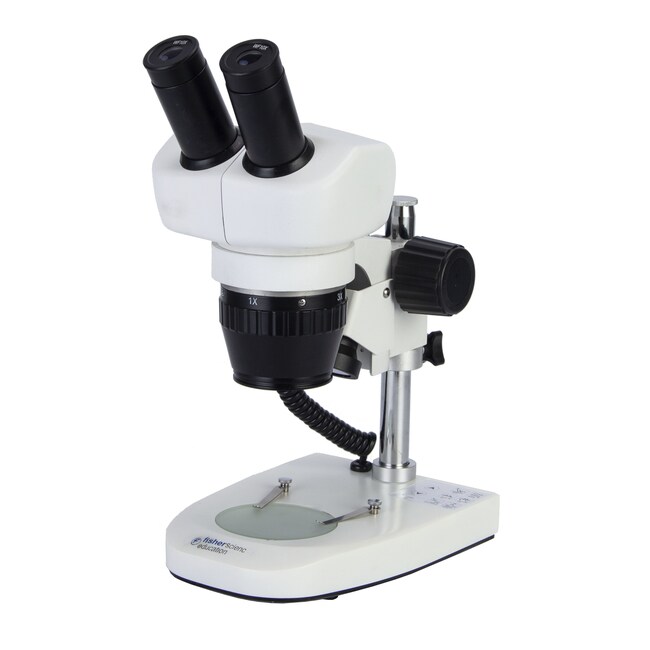 Fisher Science Education High School Series Stereo Microscope 2x/4x obj ...