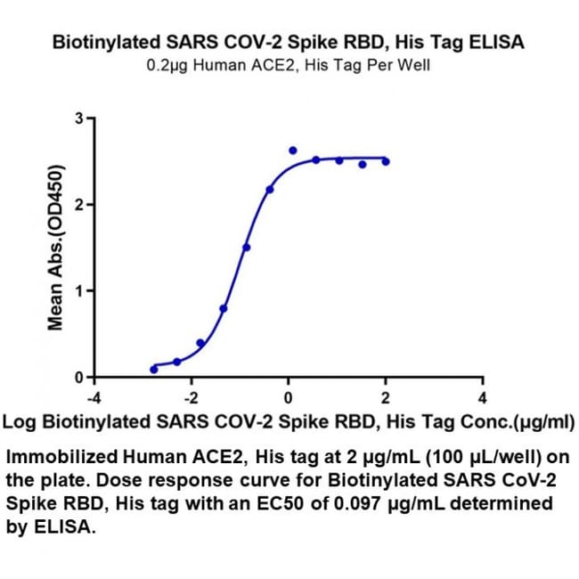 MP Biomedicals Biotinylated Recombinant SARS-CoV-2 Spike RBD Protein (C-His-Avi tag) 100 μg ...