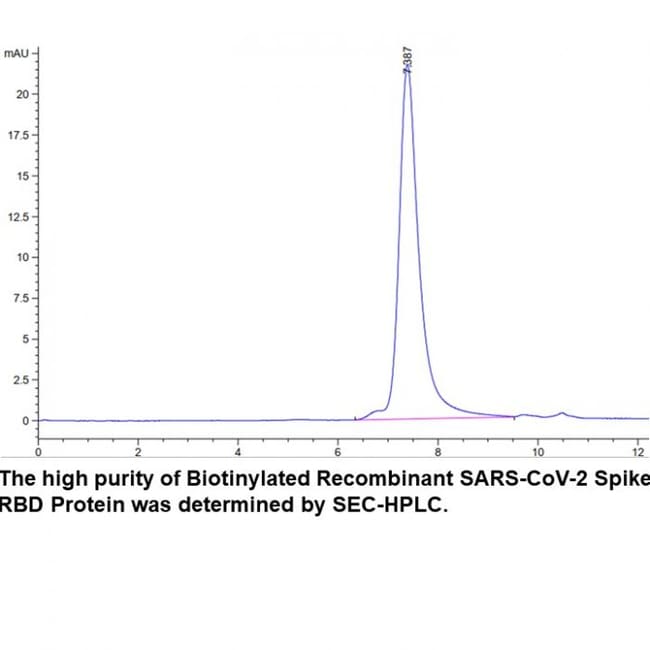 MP Biomedicals Biotinylated Recombinant SARS-CoV-2 Spike RBD Protein (C-His-Avi tag) 100 μg ...