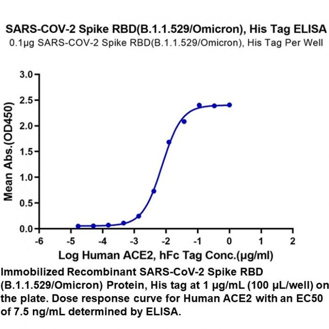 MP Biomedicals Recombinant SARS-CoV-2 Spike RBD (B.1.1.529/Omicron) Protein | Fisher Scientific