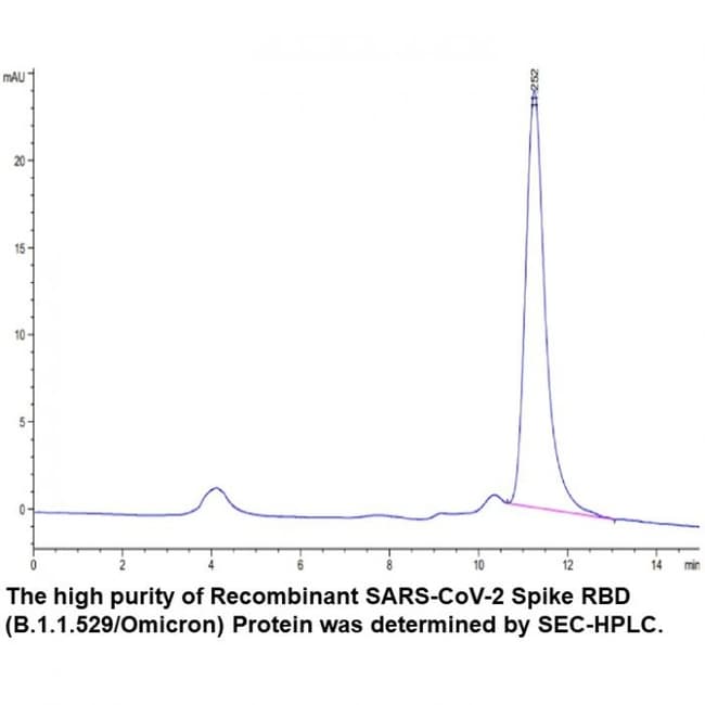 MP Biomedicals Recombinant SARS-CoV-2 Spike RBD (B.1.1.529/Omicron) Protein | Fisher Scientific