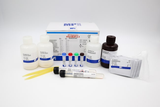 MP Biomedicals HTLV Blot 2.4 (CE) 36 Tests/Kit | Buy Online | MP ...