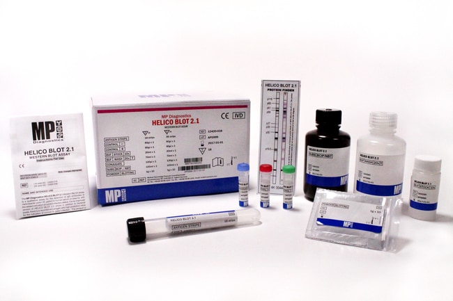 MP Biomedicals Helico Blot 2.1 (RUO) 18 Tests/Kit | Buy Online | MP ...