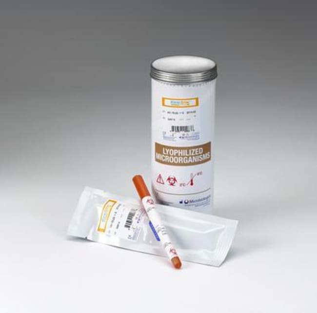 Microbiologics Proteus hauseri ATCC 13315:Diagnostic Tests and Controls ...