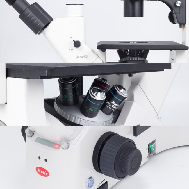 Motic AE31E Inverted Microscope with FITC and TRITC Filter Fluorescence ...