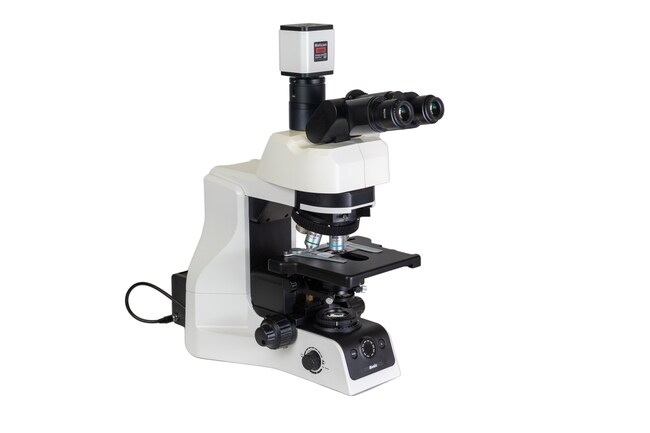 Motic PA43 BIO Trinocular Ergonomic Pathology Lab Microscope Package ...