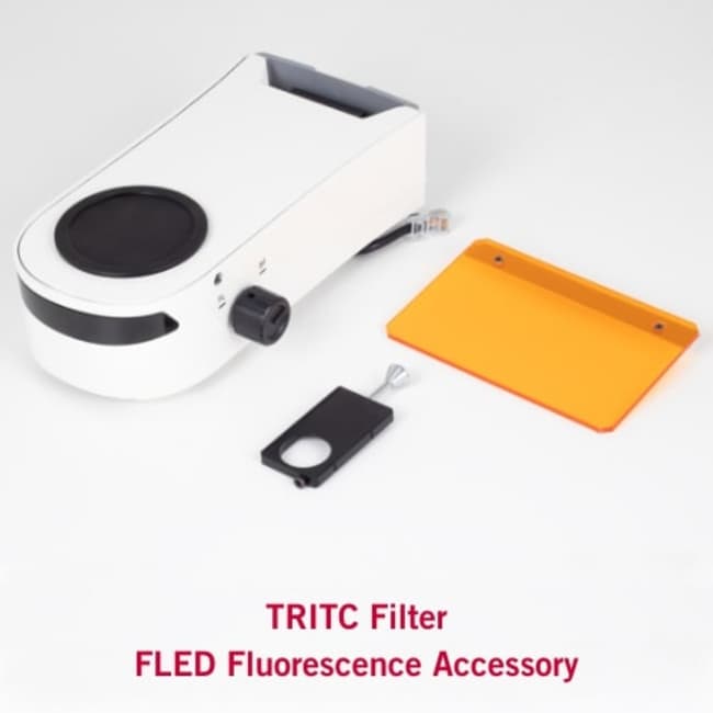 Motic Panthera C2 Microscope with Fluorescence Filter:Microscopes ...