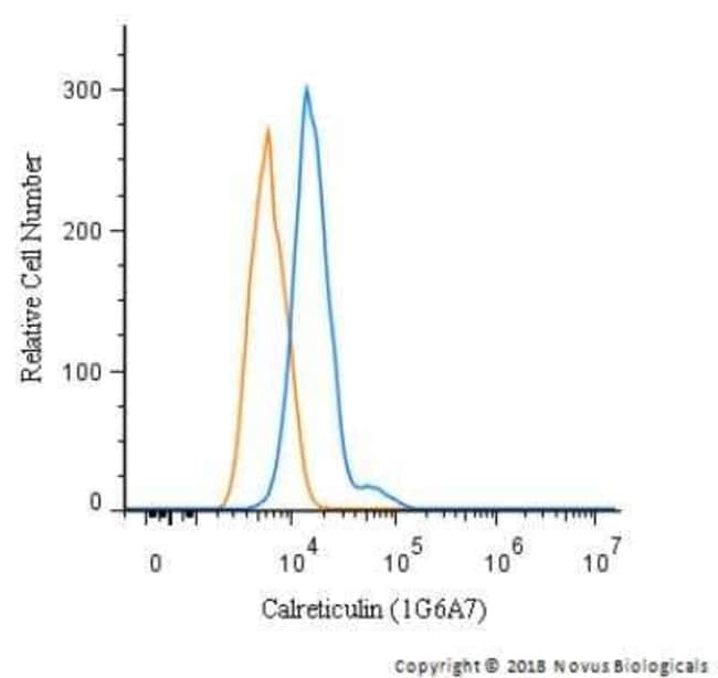Calreticulin Antibody (1G6A7), Alexa Fluor 488, Novus Biologicals 0.1 ...