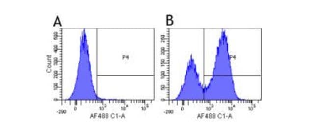 Integrin alpha 4/CD49d Human anti-Human, Clone: Natalizumab, Novus Biologicals | Fisher Scientific