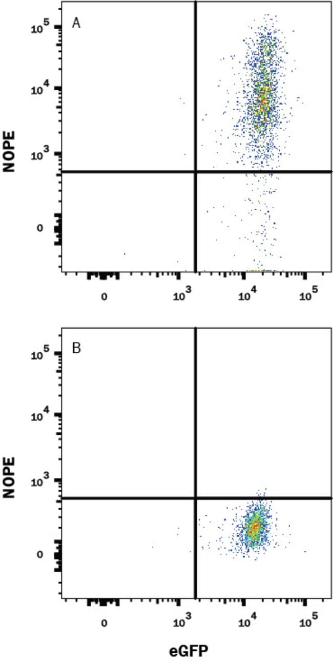 Human Nope/IGDCC4 Antibody, R D Systems 100 μg; Unconjugated:Antibodies ...