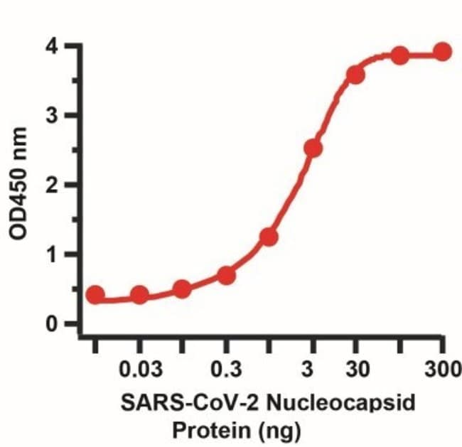 SARS-CoV-2 Nucleocapsid Antibody (3866) - BSA Free, Novus Biologicals™ 0.05 mg; Unconjugated ...