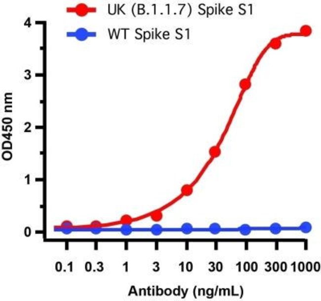SARS-CoV-2 Spike Rabbit anti-SARS-CoV-2, Polyclonal, Novus Biologicals ...