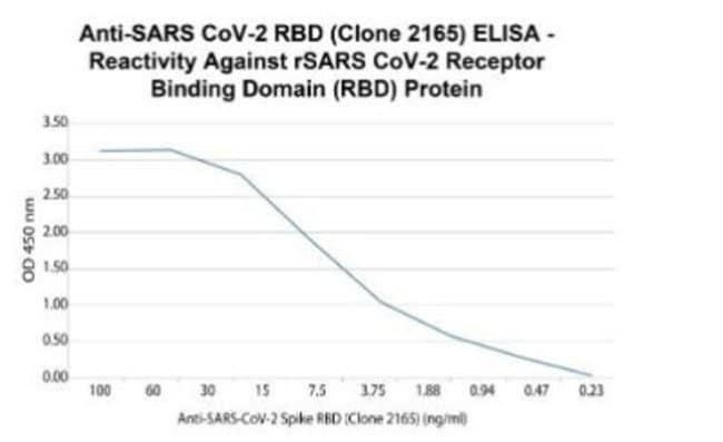 SARS-CoV-2 Spike RBD Antibody (2165) - Azide and BSA Free, Novus ...