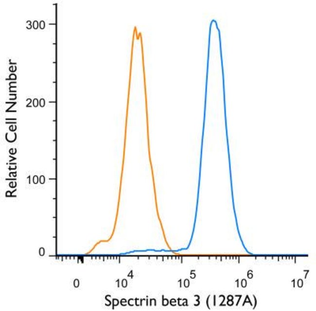 Spectrin beta 3 Antibody (1287A) - Azide and BSA Free, Novus ...