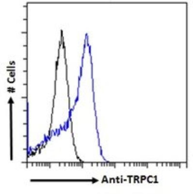 TRPC1 Antibody, Novus Biologicals 100μg:Antibodies, Polyclonal | Fisher Scientific