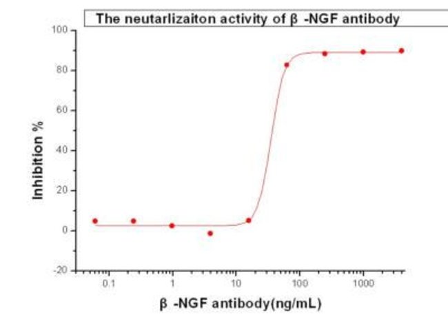 beta-NGF Rabbit anti-Human, Clone: RC6, Novus Biologicals 500 μg ...