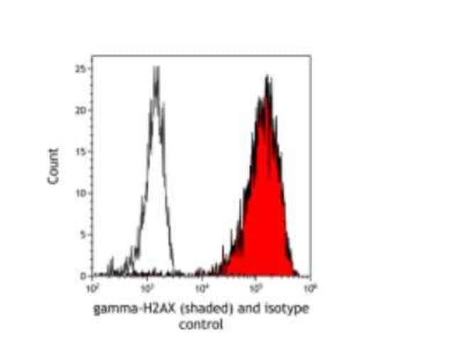 Histone H2AX, p Ser139 Antibody (BLR053F), Novus Biologicals 100 μg ...