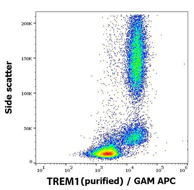 TREM1 Antibody (6B1) - BSA Free, Novus Biologicals 0.1 mg; Unconjugated ...