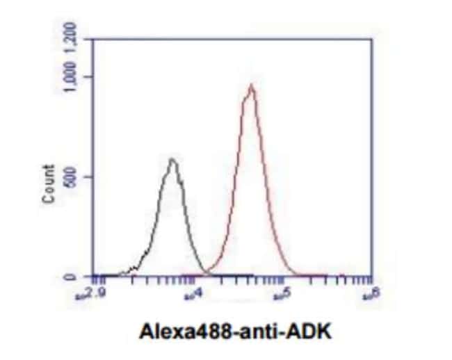 ADK Antibody (4F8) - BSA Free, Novus Biologicals 100μL; Unlabeled ...