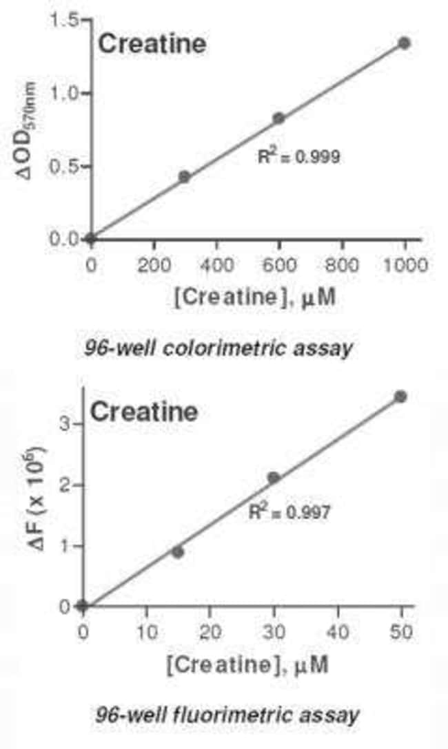 Novus Biologicals Creatine Assay Kit (Colorimetric/Fluorometric) 1 Kit ...