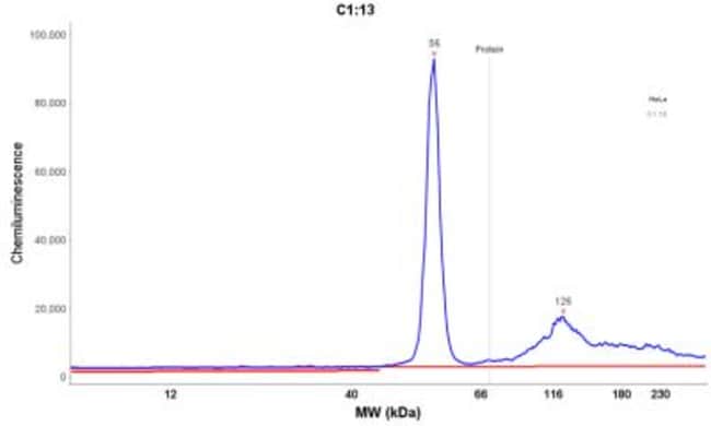 CYTOKERATIN 18 (DA7) - 0.2 MG