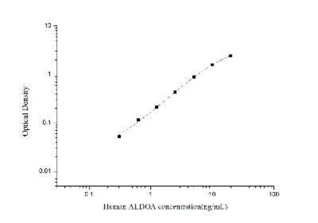 Novus Biologicals Human Aldolase A ELISA Kit (Colorimetric) 1 Kit ...