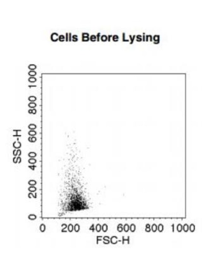 Novus Biologicals Human Erythrocyte Lysing Flow Cytometry Kit 1 Kit ...