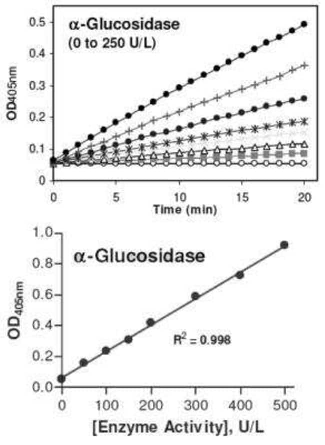 Novus Biologicals LYAG/GAA Assay Kit (Colorimetric) 1 Kit | Buy Online ...