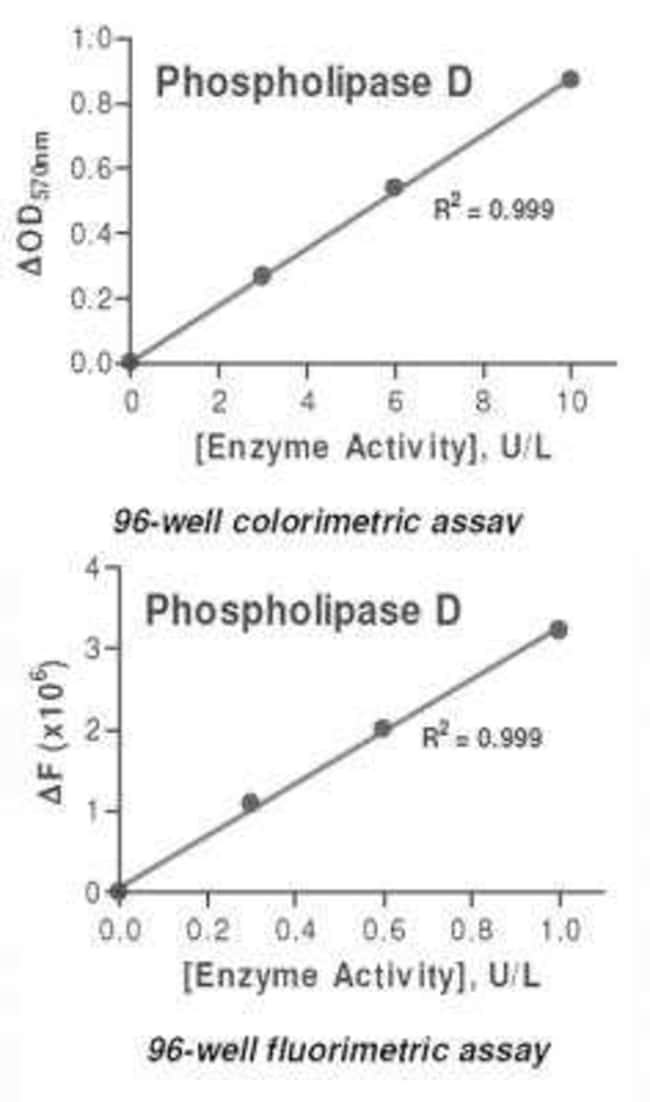 Novus Biologicals Phospholipase D Assay Kit (Colorimetric/Fluorometric ...